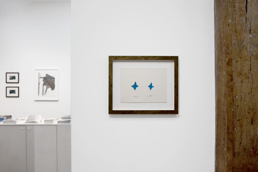 Johann Hauser | christian berst — art brut