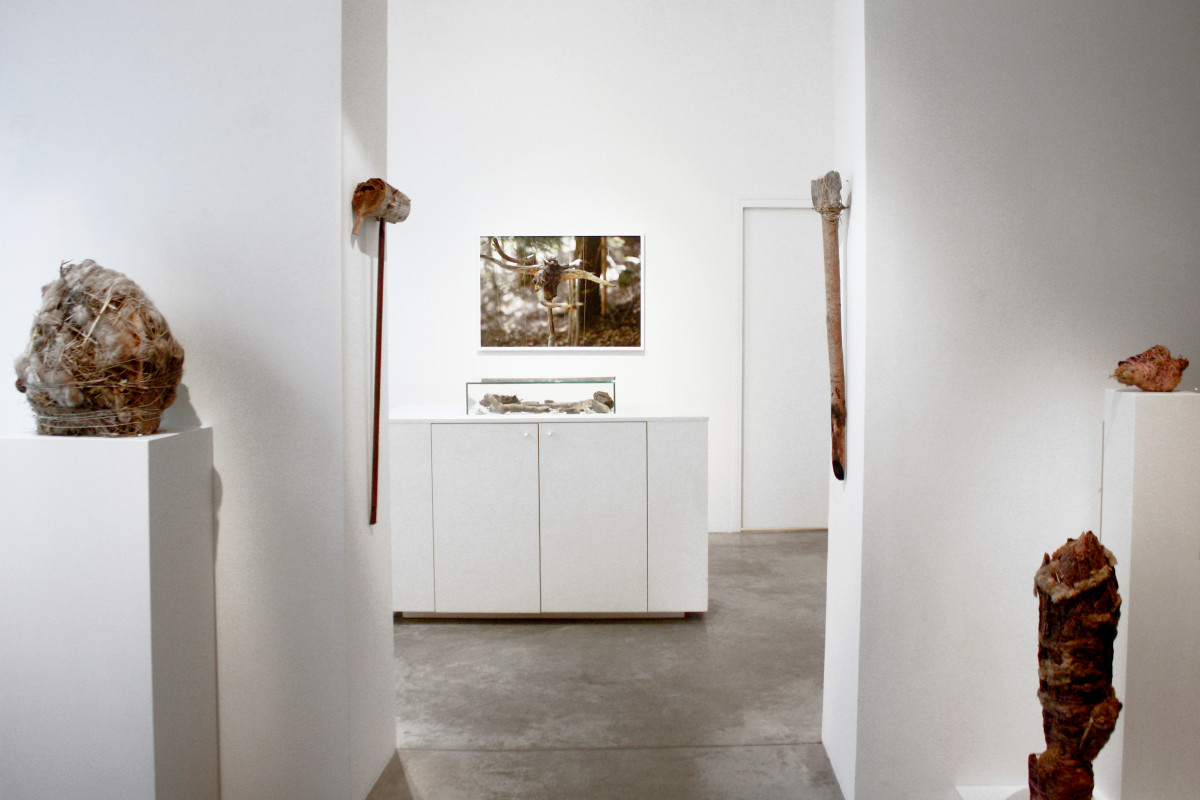 Art vs Wild : | christian berst — art brut